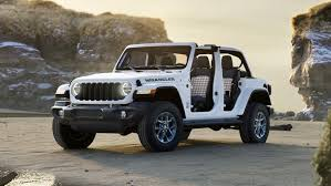 T1601036 Fear was bigger than pain in those eyes. - rescueus ...